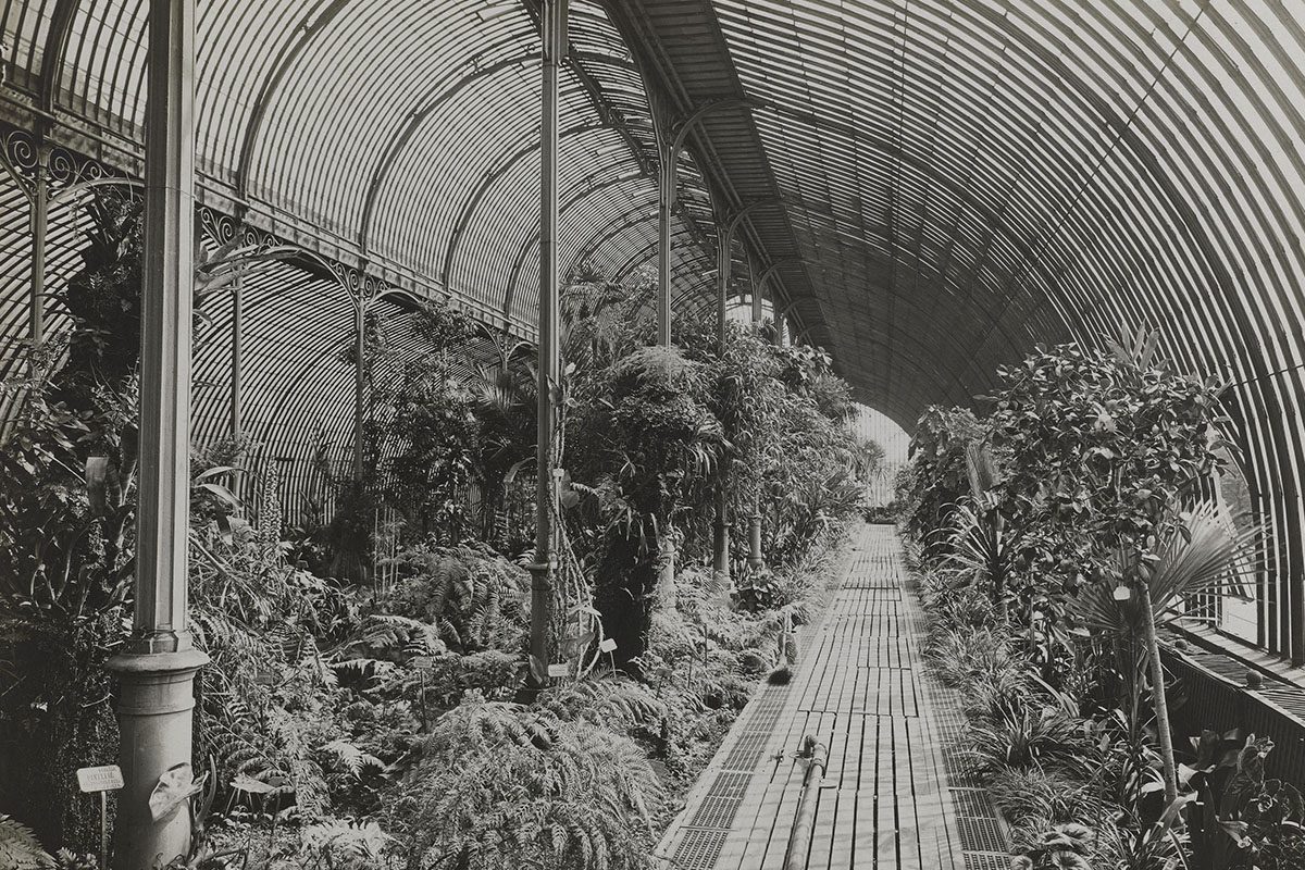 Les jardins botaniques : notre sélection de ressources numériques